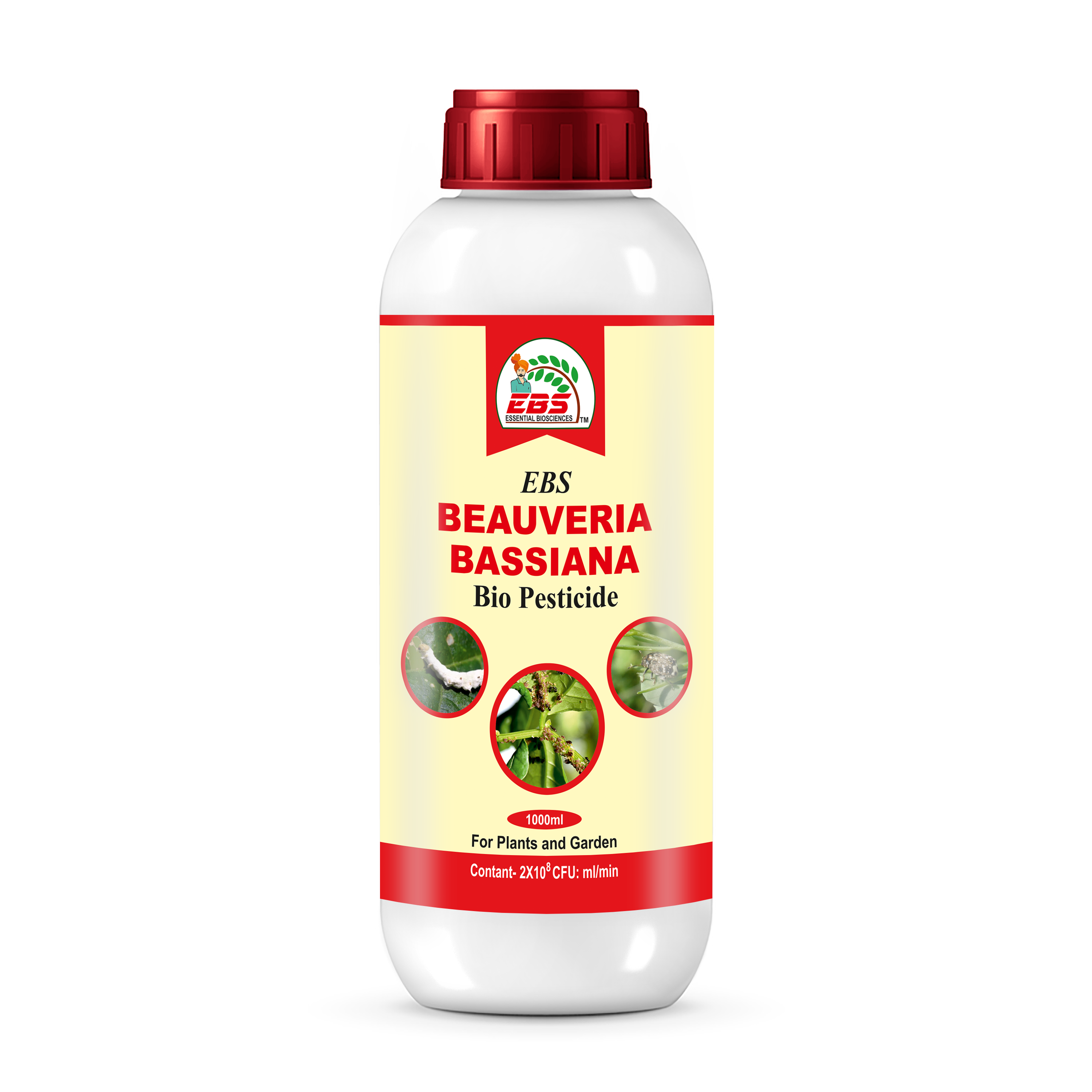 EBS Beauveria Bassiana Bio Pesticide – Kisan Sewa Kendra